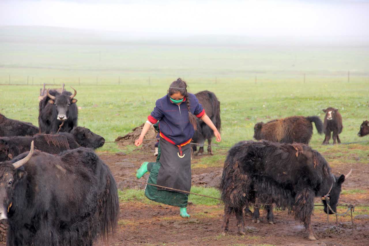 Amdo Travel Guide: Exploring the Stunning Region of Tibet