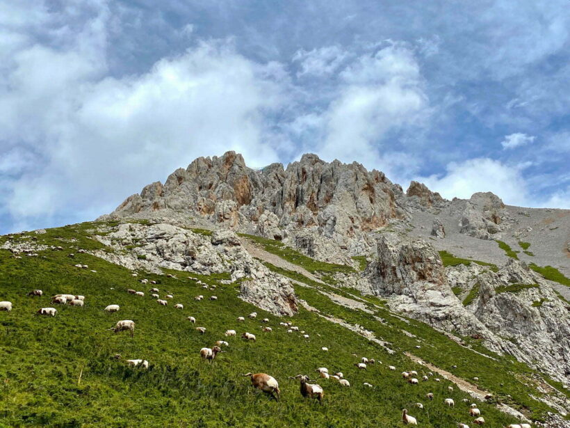 Explore the Jigan Trek: Mongolia-Tibetan Culture Adventure